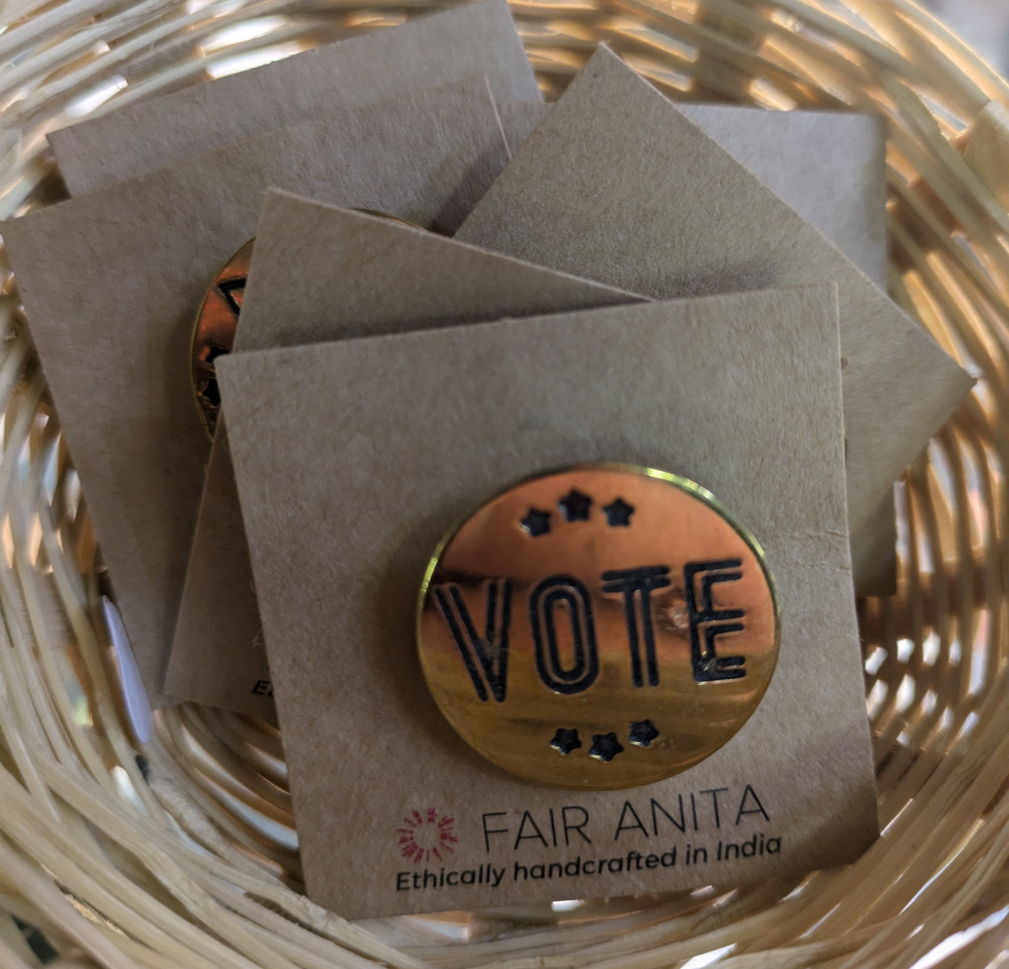 PSA: Take Part in Our Democracy! – Lucia's World Emporium
