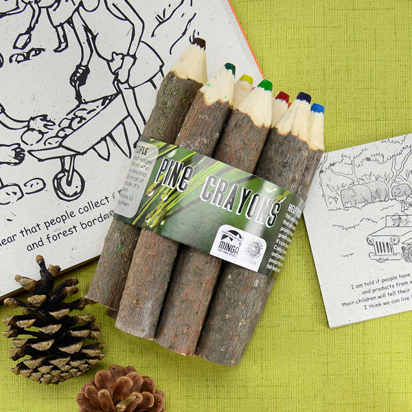 Pine Crayon Bundle – Lucia's World Emporium